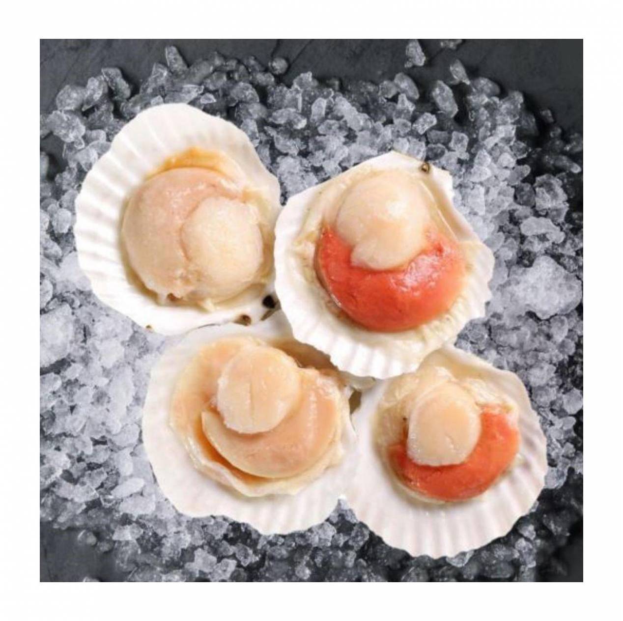 Ken Ken Half Shell Scallop (8-10cm) - Frozen